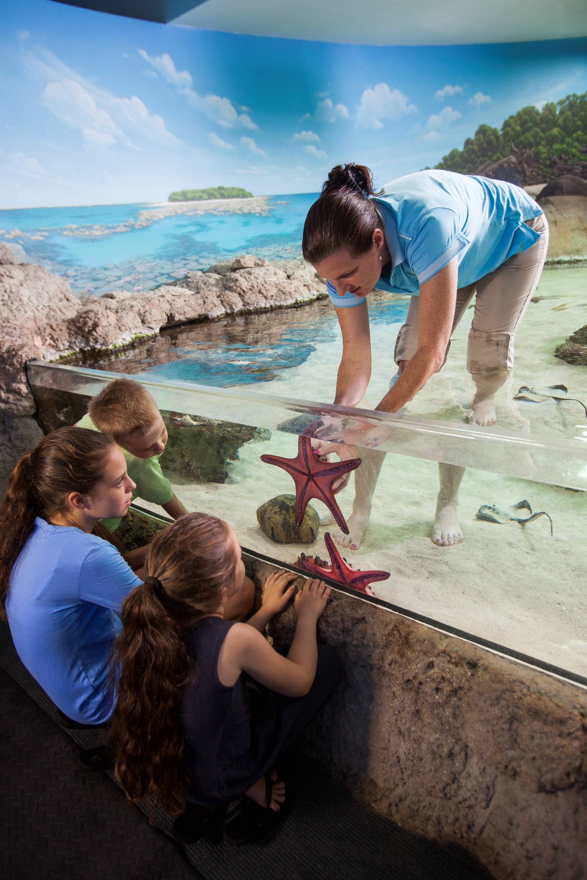 Latest News & Information – NQ Touch